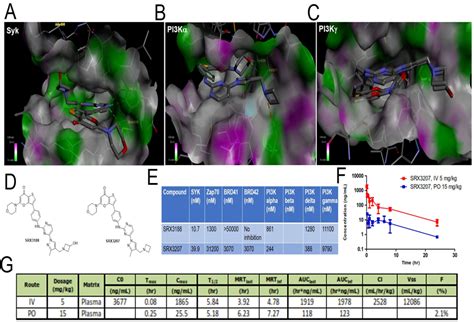 Macrophage Syk Pi3kγ Inhibits Anti Tumor Immunity Srx3207 A Novel