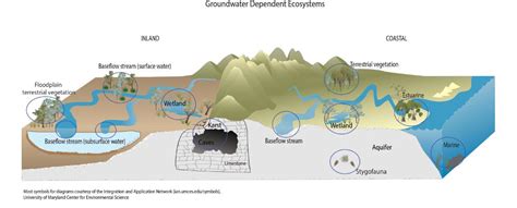 Groundwater And The Environment Nsw Government Water