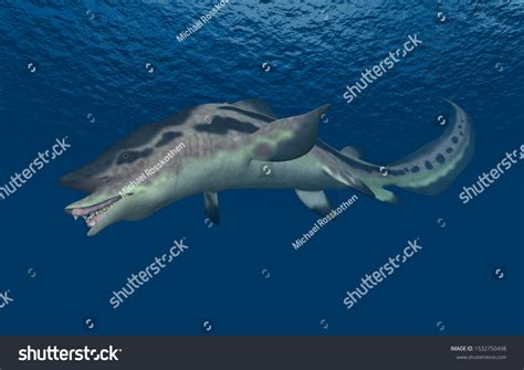 Edestus Shark