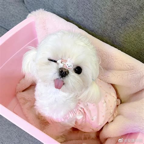 淄博烧烤店老板多算钱隔天加微信退还