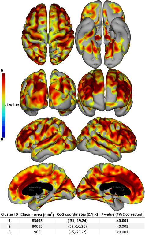 positive correlation between mean diffusivity md and normalized