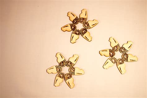 Bagh Chal 6 Images Behance