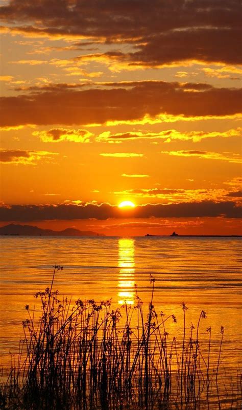 Golden Sunrise Wallpapers Wallpaper Cave