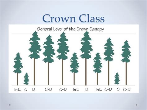 And Other Related Measurements Ppt Download