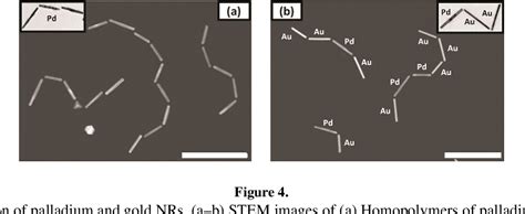 Figure 4 From Copolymerization Of Metal Nanoparticles A Route To