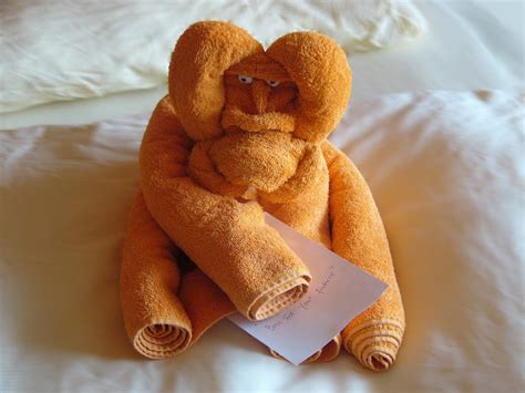 무료 이미지 원숭이 장난감 자료 수건 구조 테디 베어 직물 피부 소원 인사 단맛 봉제 인형 2304x1728 1330800 무료 이미지