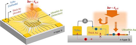 Scalable Hot Carrierassisted Silicon Photodetector Array Based On Ultrathin Gold Film