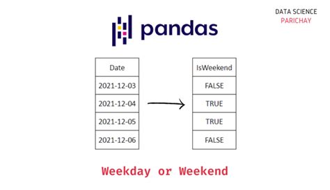 Pandas Check If A Day Is Weekday Or Weekend Data Science Parichay