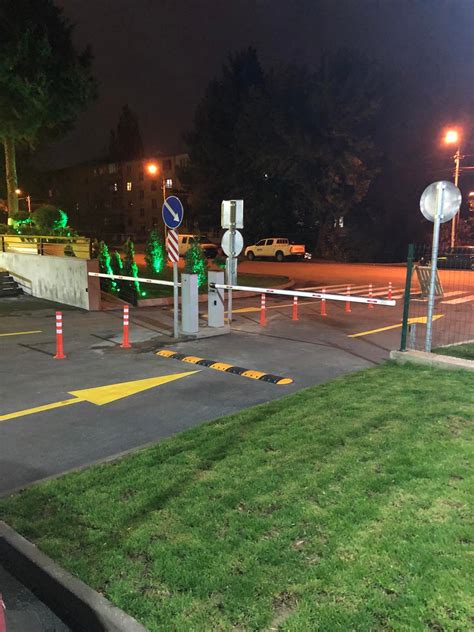 ნამუშევრები ალგი