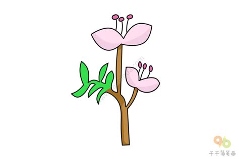 梨花简笔画图片步骤图 花朵简笔画