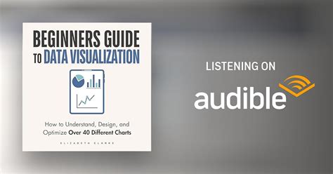 Beginners Guide To Data Visualization Audiobook By Elizabeth Clarke