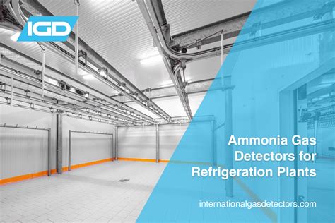 Ammonia Gas Detectors For Refrigeration Plants
