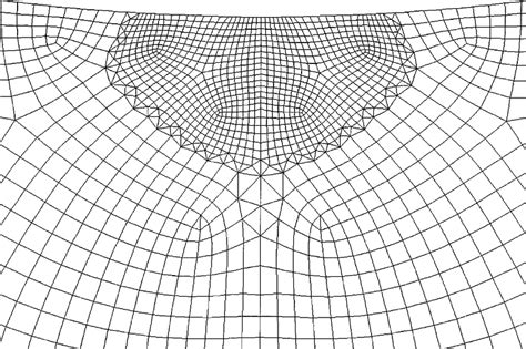 Finite Element Model Of The Notched Tensile Specimen And Details Of The