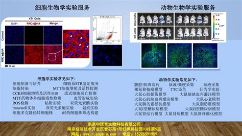 巴氏染色 南京申诺青生物科技有限公司
