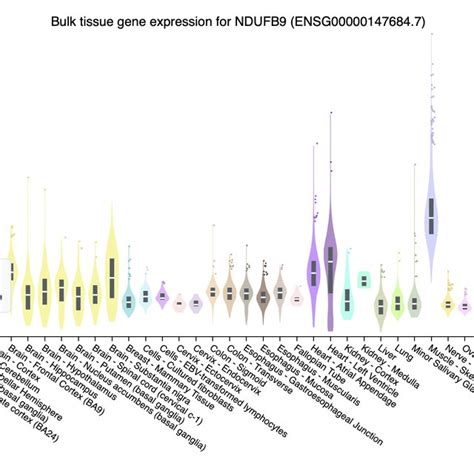Figure E2 Gtex Portal Gene Expression For Ndufb9 Rs3829038 Download Scientific Diagram