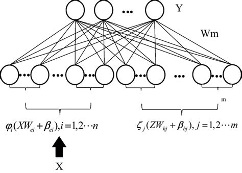Schematic Of The BLS Structure Download Scientific Diagram