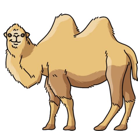 Geico Camel Animated 