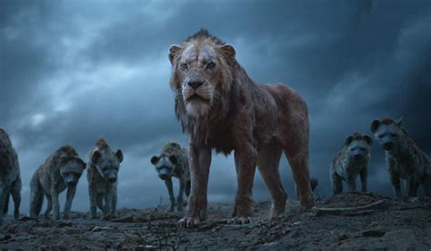 100 Fonds Décran Le Roi Lion