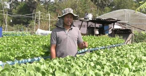 អភិបាលខេត្តកំពង់ស្ពឺ លើកទឹកចិត្តដល់កសិករឱ្យបង្កើនការដាំដុះបានកាន់តែច្រើន