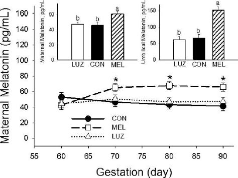 Serum Maternal Melatonin Concentrations At Days 60 70 80 And 90 Of Download Scientific