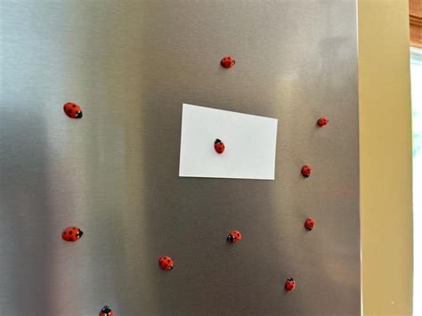 Ladybug Refrigerator Magnets Cute Fridge Bug Decor Ladybug Kitchen