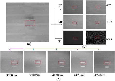 merged image and the processing results of multispectral and