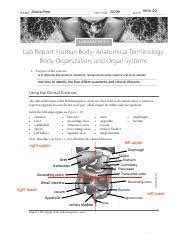 Laboratory Lab Report Completed Pdf Jhania Pere N A M E S E C T I O N D