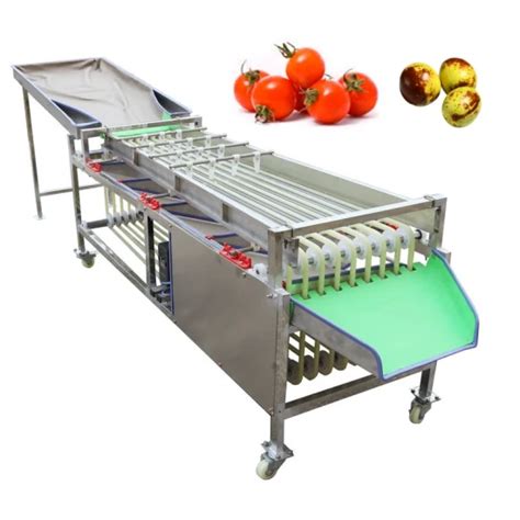 2024 Hot Selling Fruit Vegetable Grading Machine Potato Tomato Grading