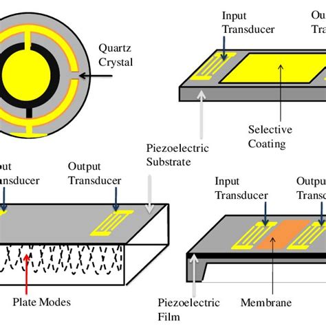 5 Schematic Sketches Of The Four Types Of Acoustic Sensors A Download Scientific Diagram