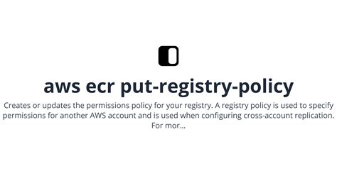 Aws Ecr Put Registry Policy Fig