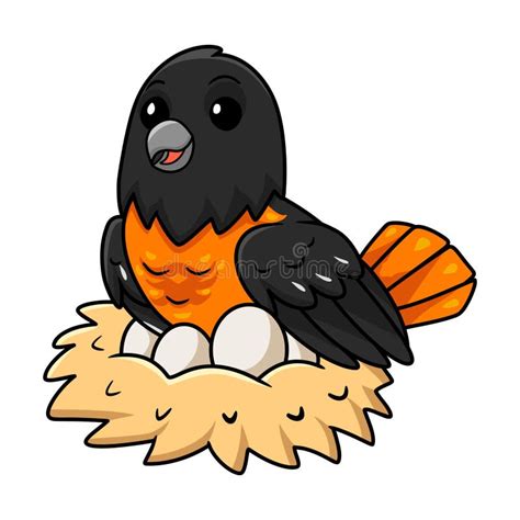 Cute Baltimore Oriole Bird Cartoon With Eggs In The Nest Stock Vector