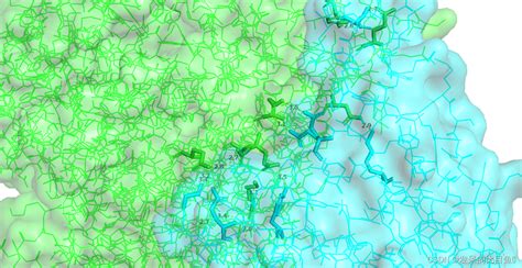 Cadd课程学习（3） 靶点药物相互作用 Pymol Pymol使用教程中文 Csdn博客