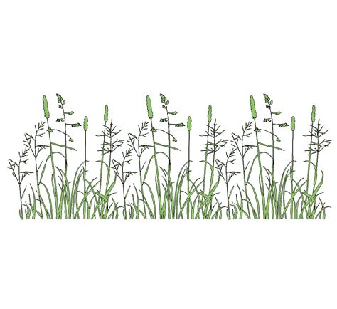 Bomen Cad Blokken Dwg Gratis Downloaden