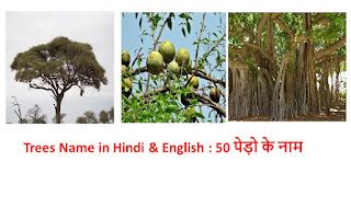Trees Name in Hindi English पड क नम