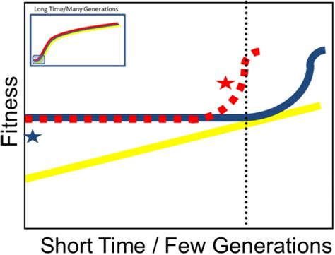 Sex Initiates Adaptive Evolution By Recombination Between Beneficial Loci PMC