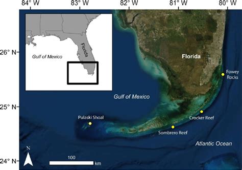 Map Of The Florida Keys Reef Tract Yellow Circles Mark The Offshore