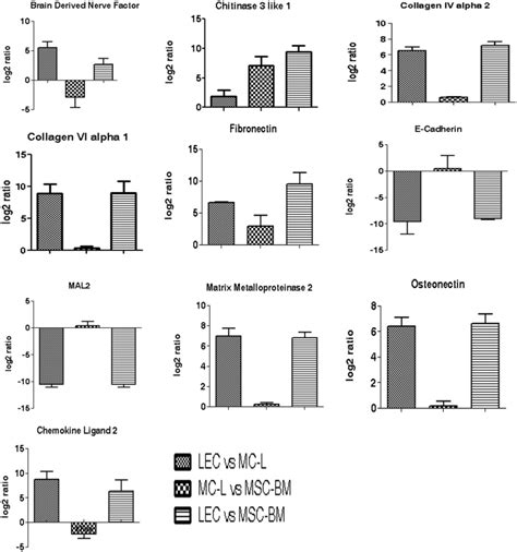 Validation Of Microarray Data By Real Time Rtpcr The Individual