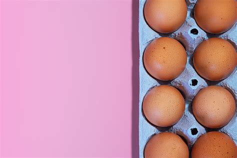 분홍색 배경에 골판지 상자에 신선한 치킨 갈색 계란 맨 위 보기입니다 건강한 식생활에 대한 스톡 사진 및 기타 이미지 건강한