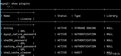 Mysql数据库安全加固mysql加固 Csdn博客