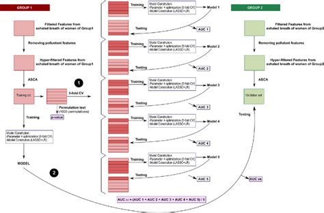 Data Modeling Workflow The Performance Of The Models Was Assessed By Download Scientific