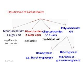 Carbohydrates Cndppt