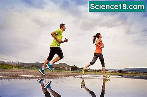 Pourquoi Devriez Vous Seulement Tester Pour Une Variable à La Fois Dans Une Expérience 💫