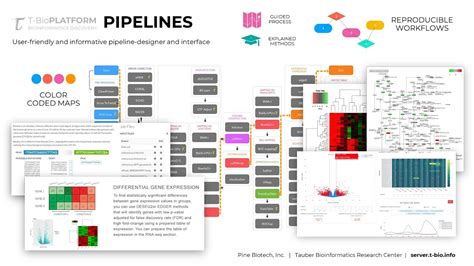 Differential Gene Expression On T Bioinfo Server Youtube