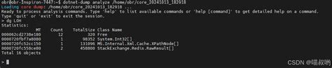使用dotnet Counters和dotnet Dump 分析net Core 项目内存占用问题 Csdn博客