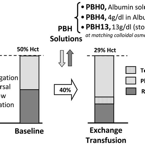 Capillary Perfusion During Hemodilution † P Download Scientific Diagram