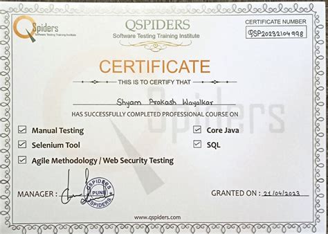 Shyam Wayalkar On Linkedin Softwaretesting Internship Training Engineer Share Html