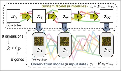 About Ssm Sign Ssm Gene Network Estimation With State Space Model