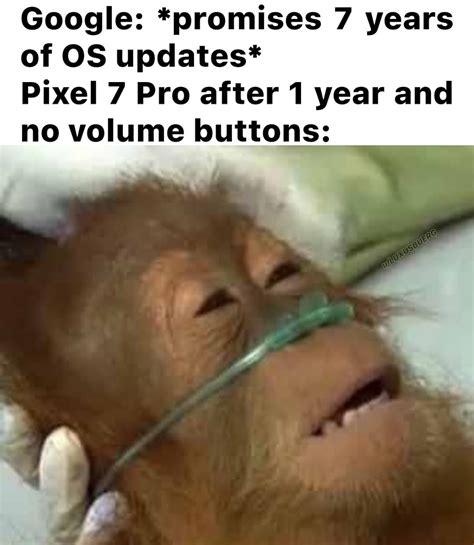 Slow Ass Tensor G Rlinustechtips