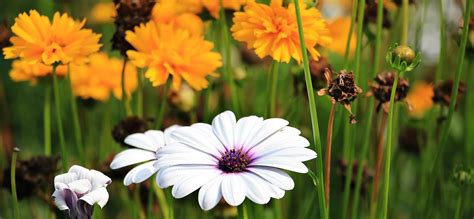 Regex 知道這20個規則運算式，能讓你少寫1000行代碼20170422 從入門到放棄