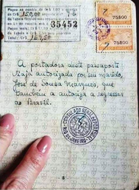 cmdm conselho municipal dos direitos da mulher eunápolis ba 1952